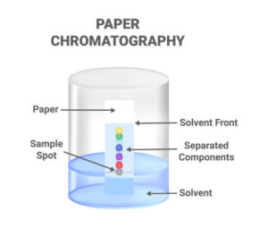 Paper Chromatography: Principles, Retention factor_2025 new