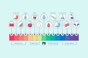 Understanding the pH Scale: Acids, Bases, and Neutrality_25