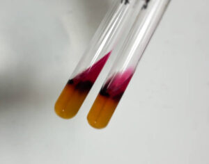 Hydrogen Carbonate Indicator: Preparation, Applications_2025